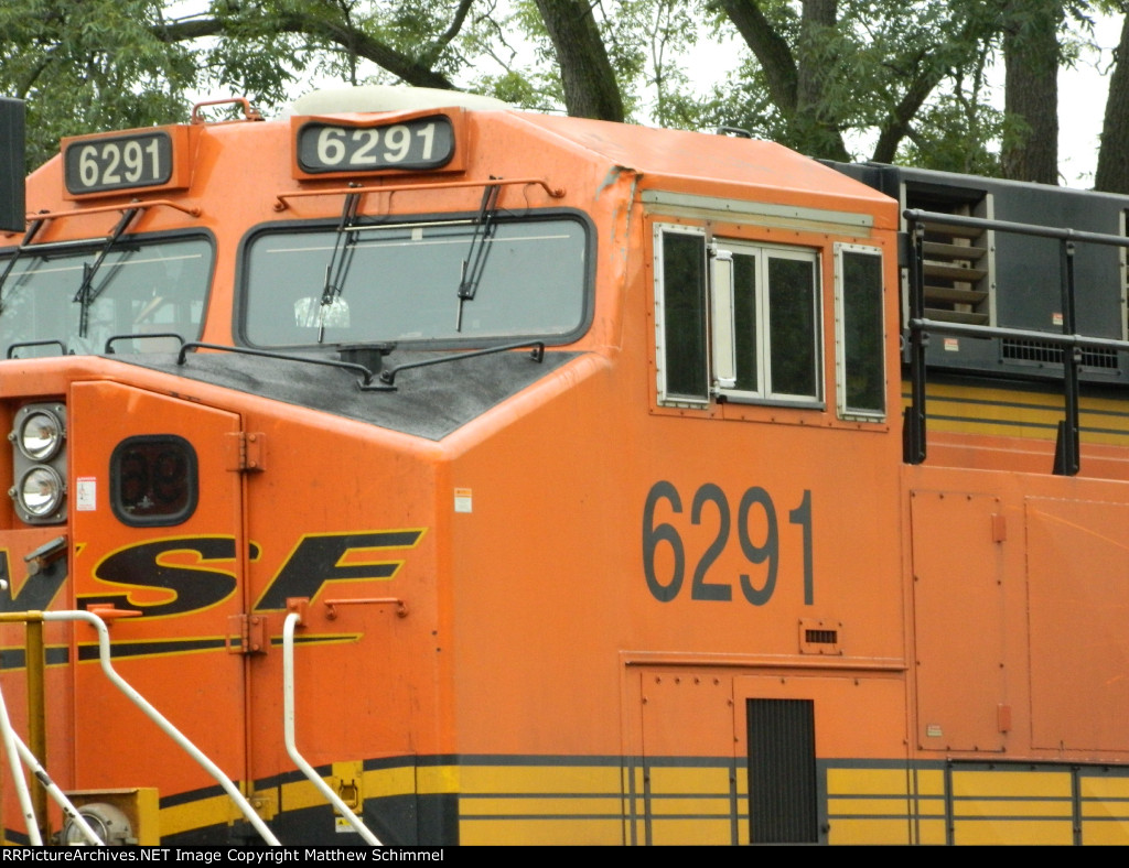 Close Up Of The Battle Wounds